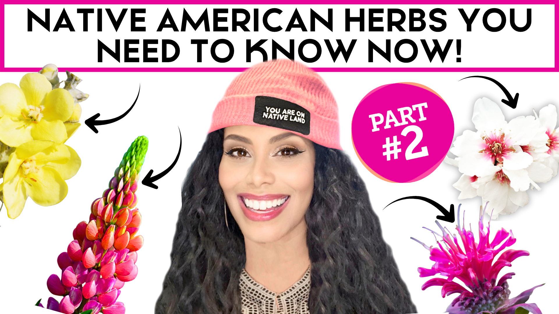 NATIVE HERBS YOU NEED TO KNOW NOW! - Part 2 – Calabash Tea