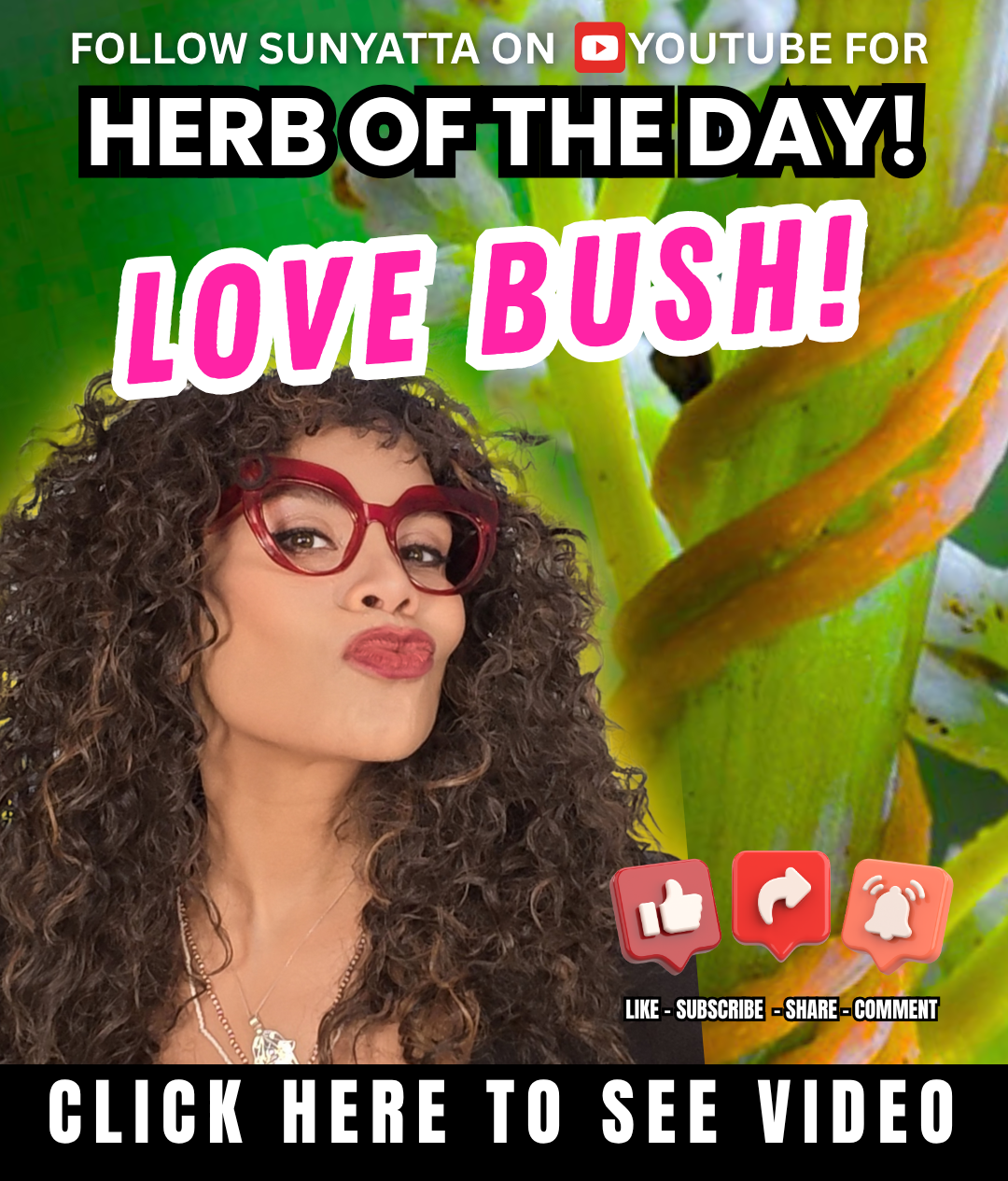 Herb of the Day - LOVE BUSH – Calabash Tea