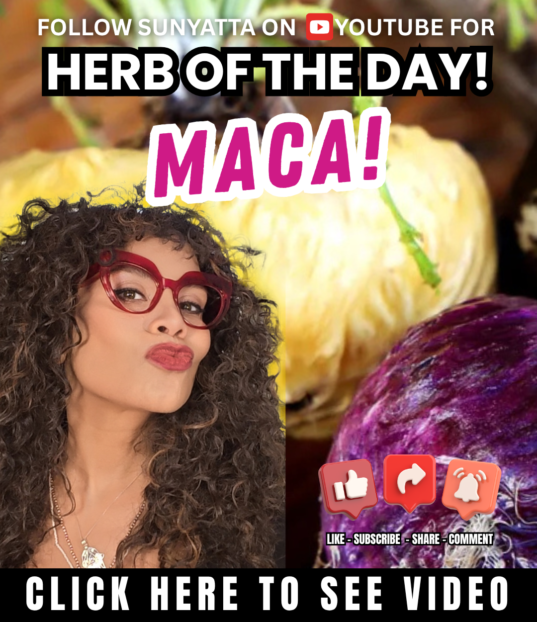 Herb of the Day - MACA – Calabash Tea